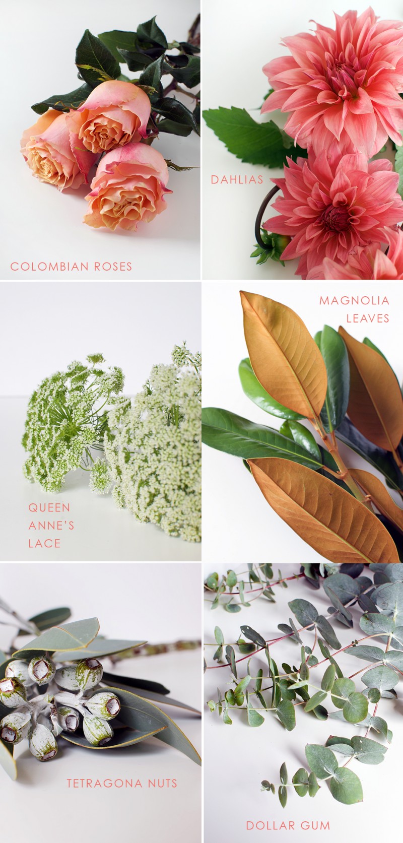How to arrange flowers: step by step with my fave local florist - We ...