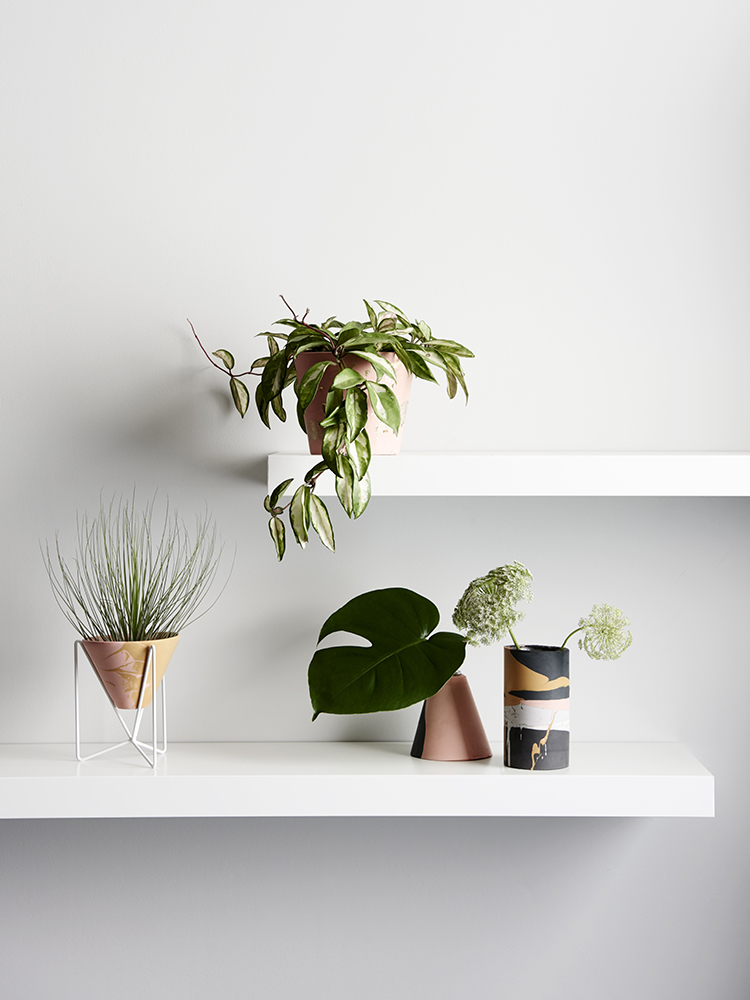 FIRST LOOK: New Capra Designs planters and plant stands - We Are Scout