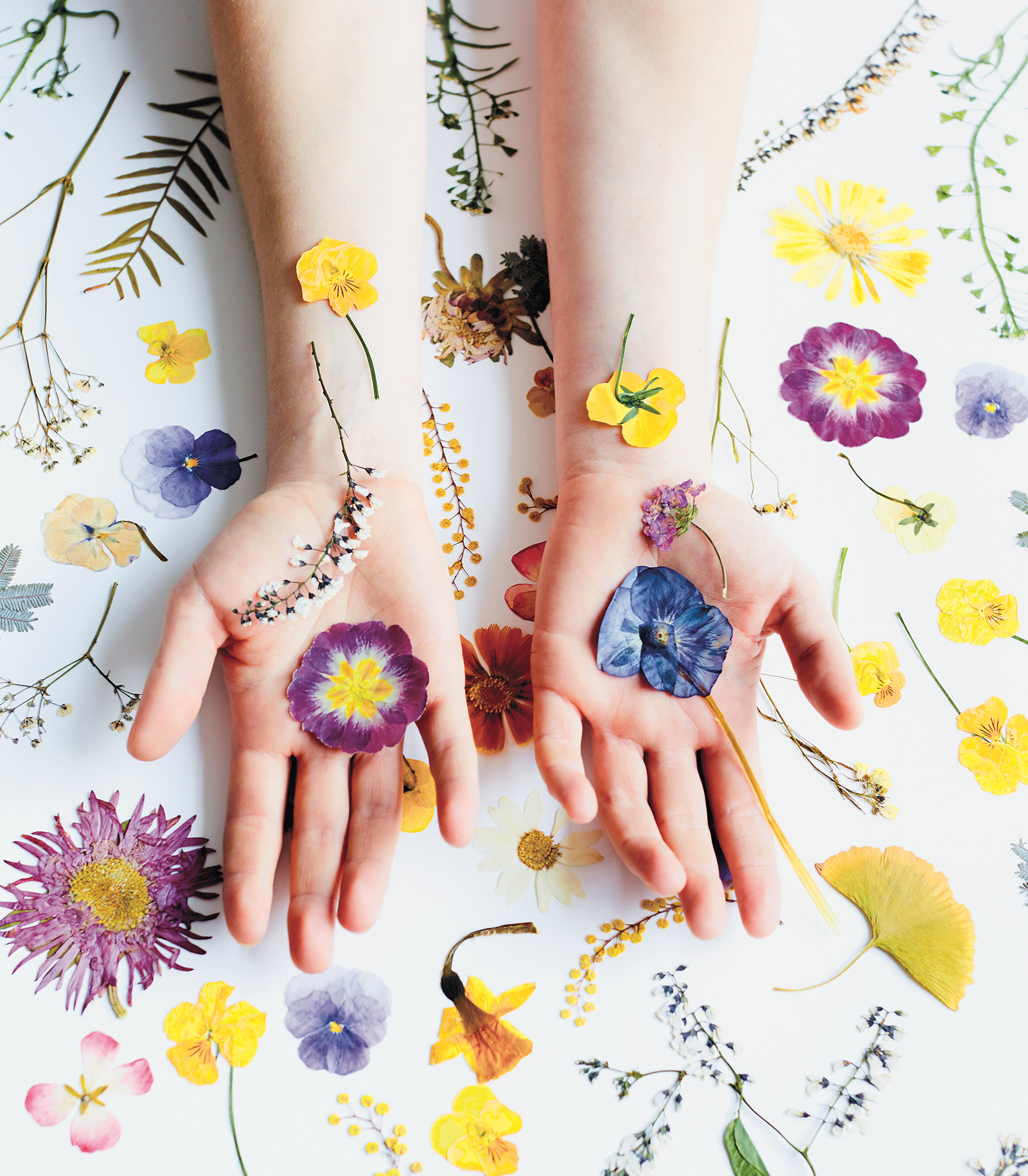 How to press flowers with Beci Orpin - We Are Scout